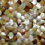 Shell Tile | Kabebe Shell Tile | Laminated Kabebe Shells Tile