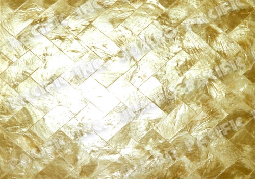 Abalone Shell Tile Mosaic | Shell Tile | Natural Abalone Shell Tile