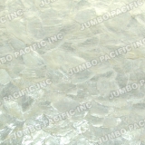 Shell Tile | Kabebe Shell Tile | Laminated Kabebe Shells Tile