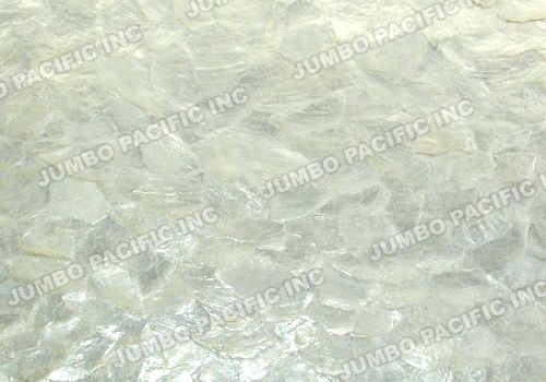 Shell Tile | Kabebe Shell Tile | Laminated Kabebe Shells Tile