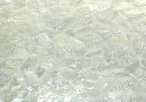 Abalone Shell Tile Mosaic | Shell Tile | Natural Abalone Shell Tile